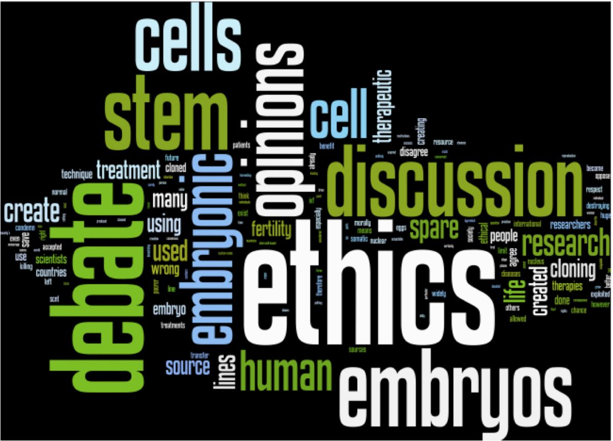 Embryonic Stem Cells Ethics