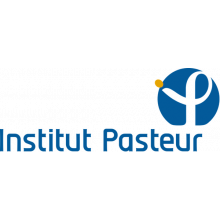 Stem Cell Research | Uses of Stem Cells and Ethics | EuroStemCell